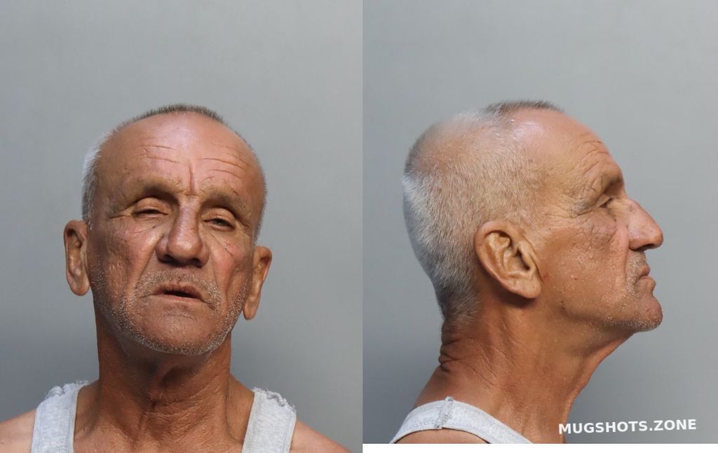 PENAORAMAS EMILIO 03/16/2024 - Miami-Dade County Mugshots Zone