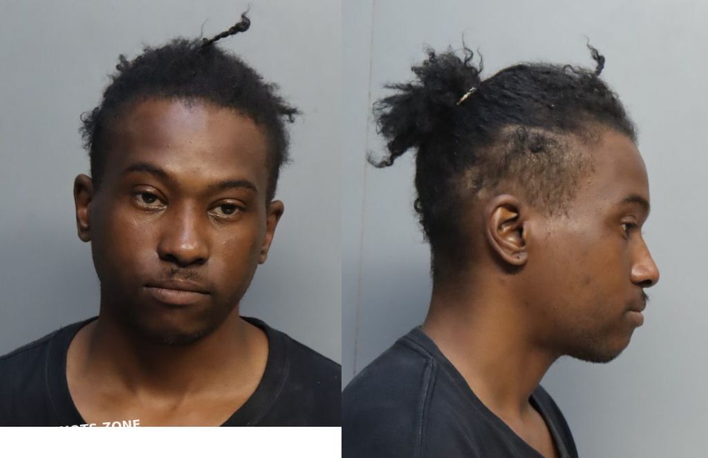 REED-WHITE DEVEN ANTHONY 03/20/2024 - Miami-Dade County Mugshots Zone