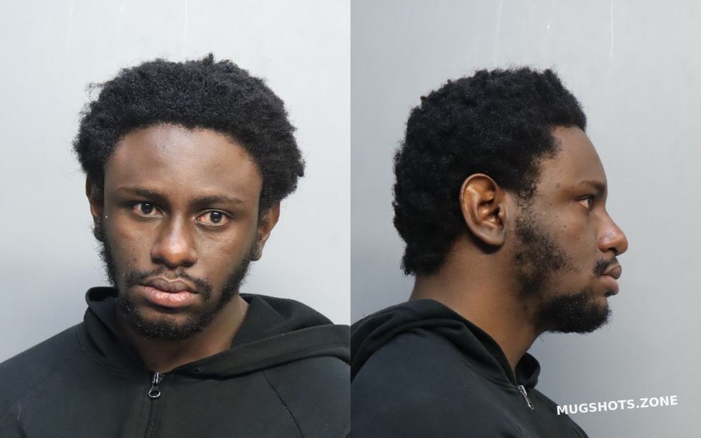 MYRTHIL SCOTT LEE 03/21/2024 - Miami-Dade County Mugshots Zone