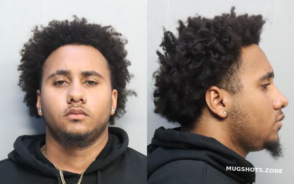 ARIAS LUIS 03/21/2024 - Miami-Dade County Mugshots Zone ARIAS LUIS 03/21/2024 - Miami-Dade County Mugshots Zone