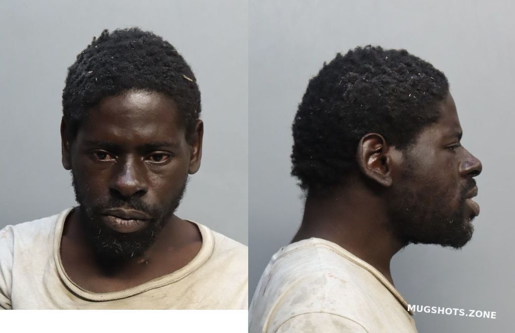 FRANCOIS LEVI 03/25/2024 - Miami-Dade County Mugshots Zone FRANCOIS LEVI 03/25/2024 - Miami-Dade County Mugshots Zone