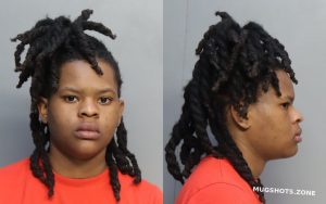 JOHNSON KAYLA 04/01/2024 - Miami-Dade County Mugshots Zone