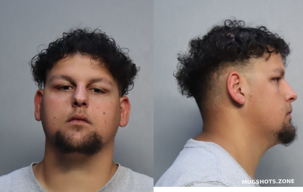 CASTILLO JESUS HECTOR 04/01/2024 - Miami-Dade County Mugshots Zone