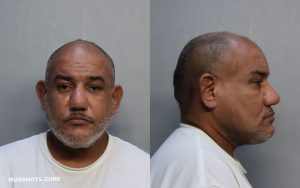 ALVAREZ DANNY 04/01/2024 - Miami-Dade County Mugshots Zone