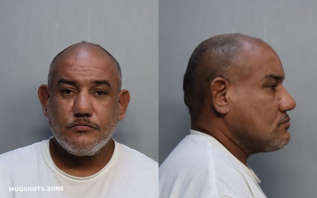 ALVAREZ DANNY 04/01/2024 - Miami-Dade County Mugshots Zone