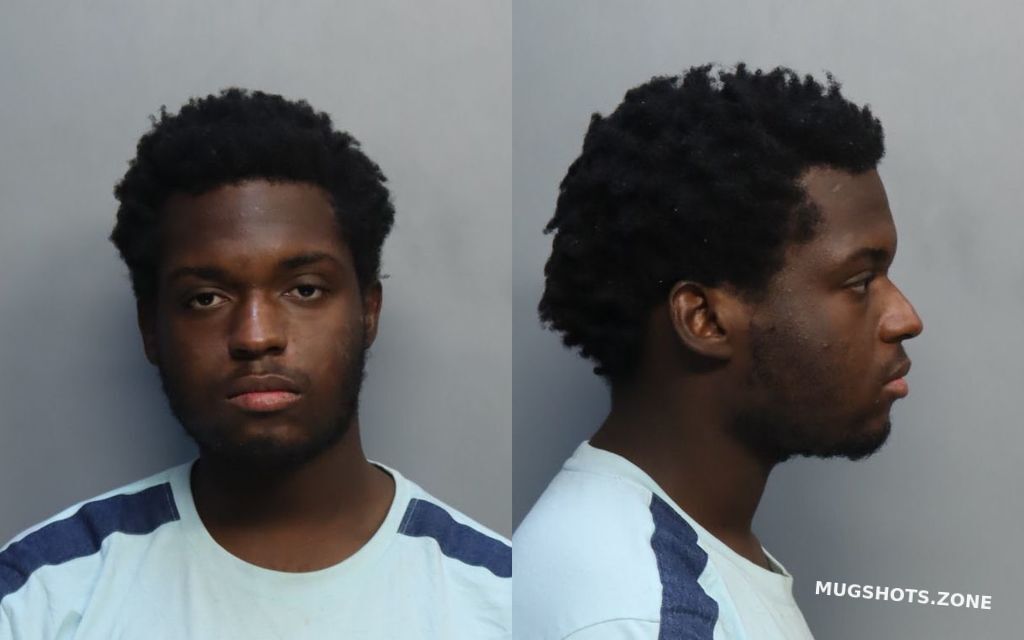 ALICE DAVIDSON 04/04/2024 - Miami-Dade County Mugshots Zone