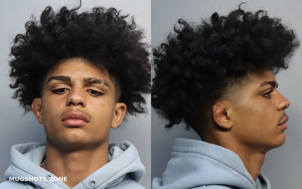 CELESTINO MIGUEL ANTHONY 04/04/2024 - Miami-Dade County Mugshots Zone