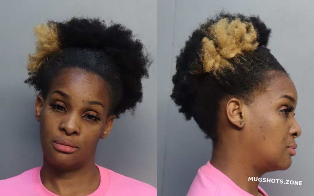 JOHNSON ABIOLA AKUA 04/07/2024 - Miami-Dade County Mugshots Zone