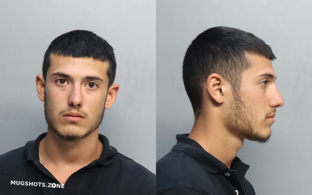 HORWITZ NOAH DARIO 04/08/2024 - Miami-Dade County Mugshots Zone