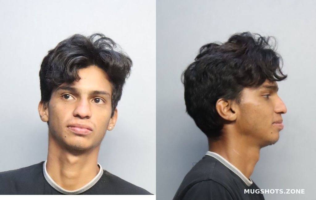 REYES CHRISTIAN RONALDO 04/09/2024 - Miami-Dade County Mugshots Zone