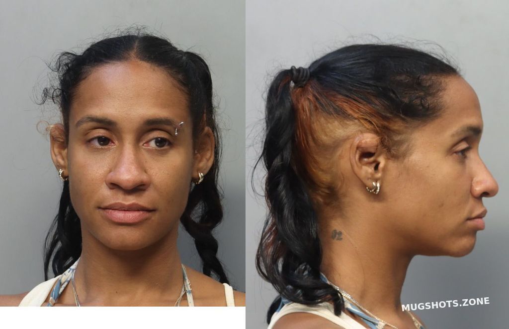CALDERON MABEL 04/11/2024 - Miami-Dade County Mugshots Zone