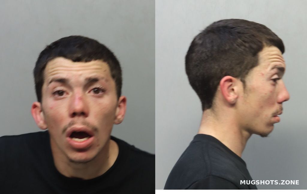 GUERRA WILLIAM 04/12/2024 - Miami-Dade County Mugshots Zone