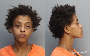 SEE VERONICA 04/17/2024 - Miami-Dade County Mugshots Zone