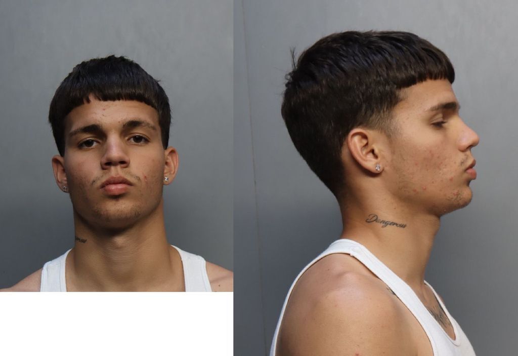 SAAVEDRARODRIGUEZ ARMANDO ALBERTO 04/20/2024 - Miami-Dade County ...