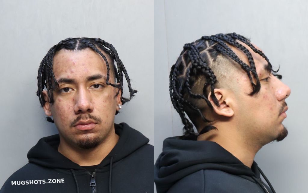 HERNADEZ BRIAN 04/20/2024 - Miami-Dade County Mugshots Zone