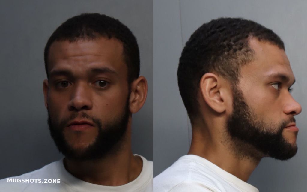 GALLENSTEIN TYLER LEE 04/21/2024 - Miami-Dade County Mugshots Zone