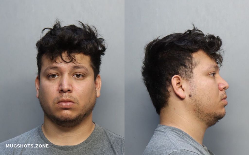 ROBLES BRYAN JESUS 04/22/2024 - Miami-Dade County Mugshots Zone