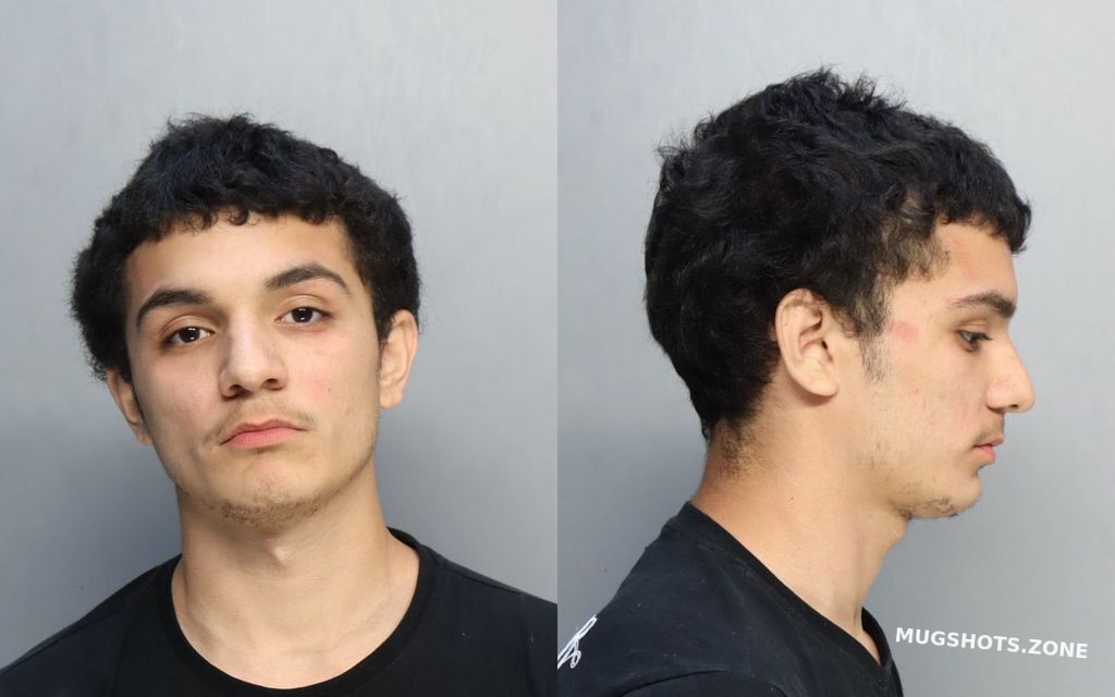 VALLE MATTHEW STEVEN 04/25/2024 - Miami-Dade County Mugshots Zone