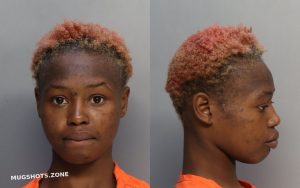 GIBSON RENIAH 04/30/2024 - Miami-Dade County Mugshots Zone
