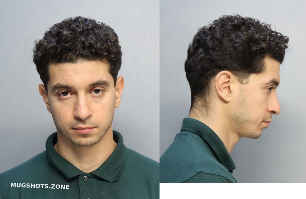 PREDINCEA ALEXANDRU VALENTIN 05/02/2024 - Miami-Dade County Mugshots Zone