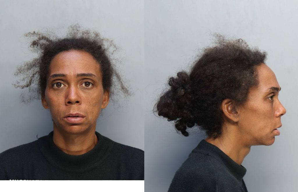 LOVESMITH ERICA 05/05/2024 - Miami-Dade County Mugshots Zone