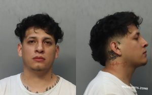 FRIAS WILLIAM DAVID 05/17/2024 - Miami-Dade County Mugshots Zone