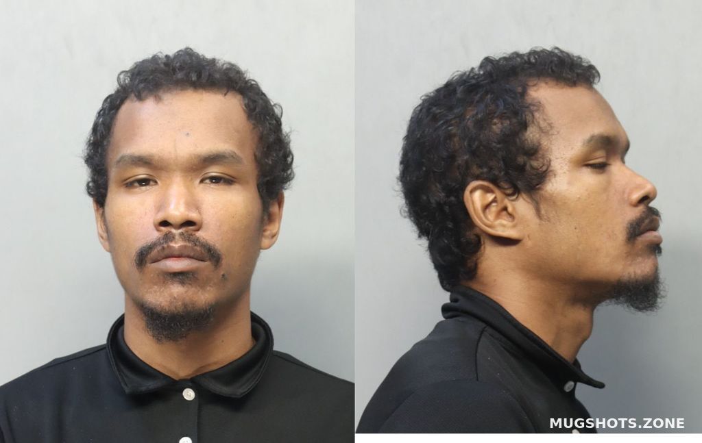 NGUYEN MAKARIOS ROCQUE 05/19/2024 - Miami-Dade County Mugshots Zone