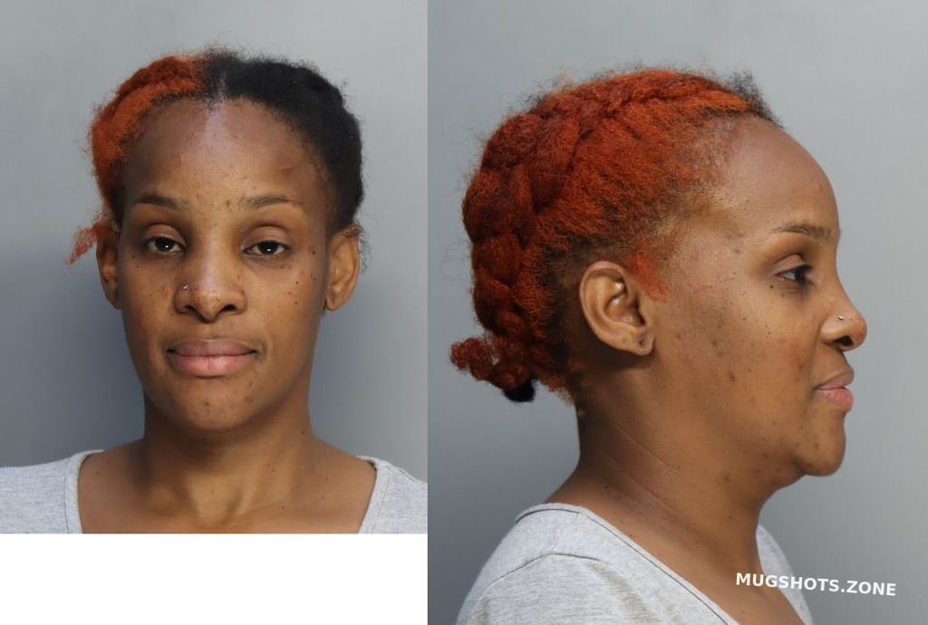 JOHNSON ABIOLA 05/22/2024 - Miami-Dade County Mugshots Zone