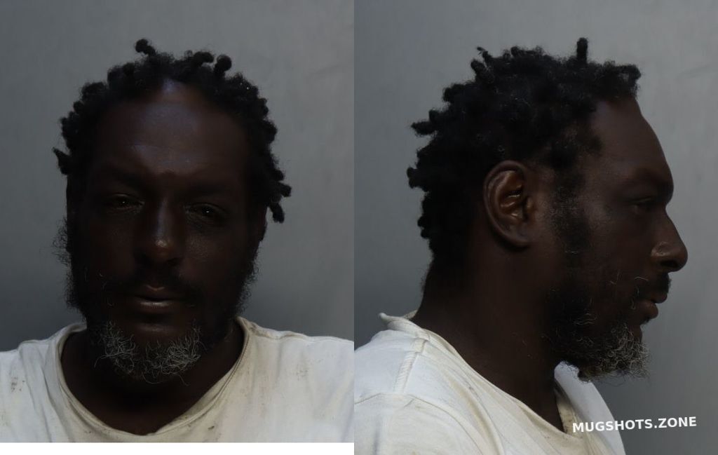LYONS LAKIVIA LEON 05/24/2024 - Miami-Dade County Mugshots Zone
