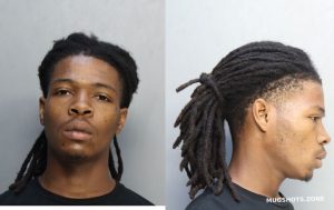 MASON MICHAEL GEROD 05/25/2024 - Miami-Dade County Mugshots Zone