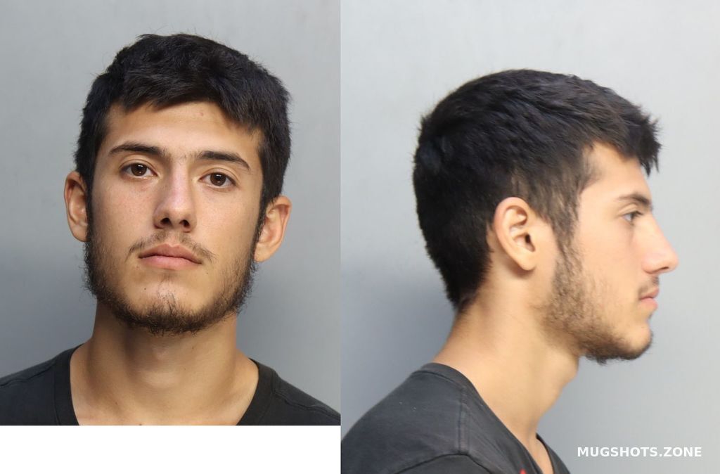 HORWITZ NOAH DARIO 05/28/2024 - Miami-Dade County Mugshots Zone