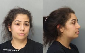 RODRIGUEZ-LOLA ALEXANDRA NATALIE 05/31/2024 - Miami-Dade County ...