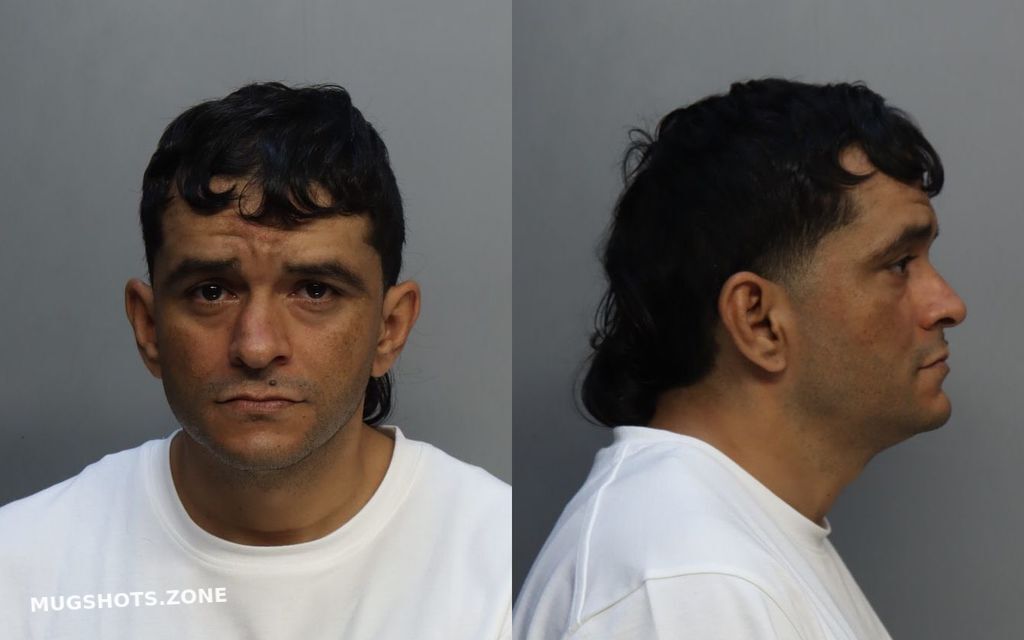 DELEONRAMOS ROBERTO 06/06/2024 - Miami-Dade County Mugshots Zone