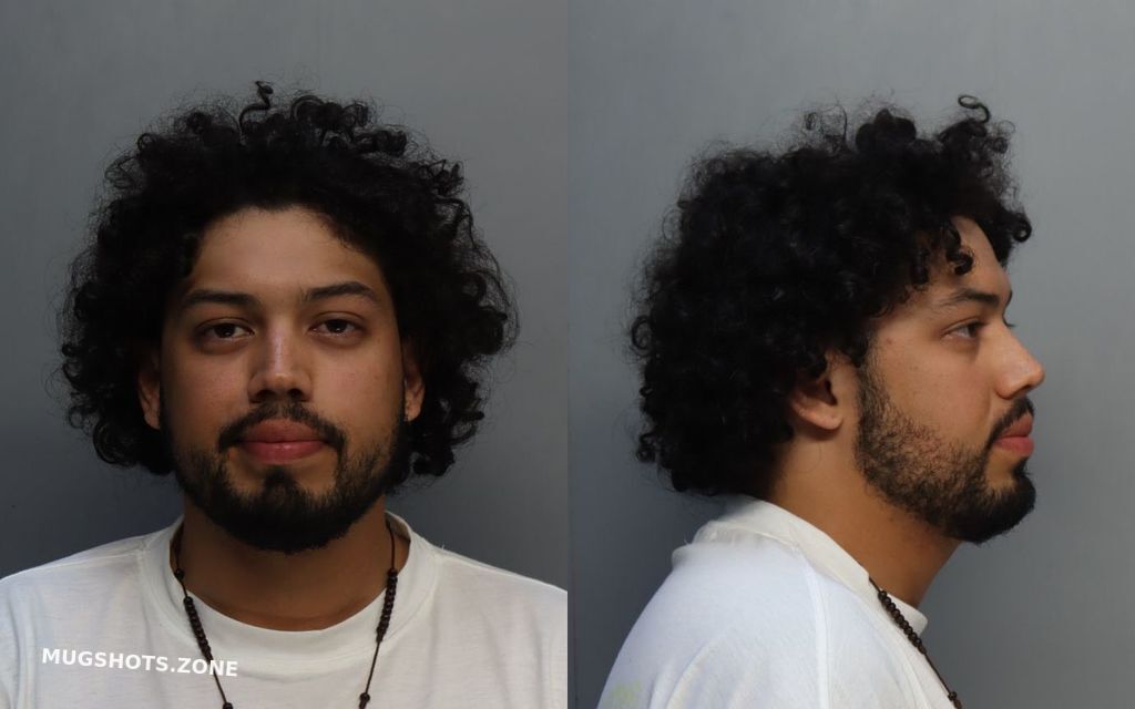 MELENDEZ MARIO JARED 06/06/2024 - Miami-Dade County Mugshots Zone