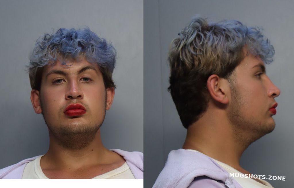 CROSBY ATLEY RYAN 06/06/2024 - Miami-Dade County Mugshots Zone