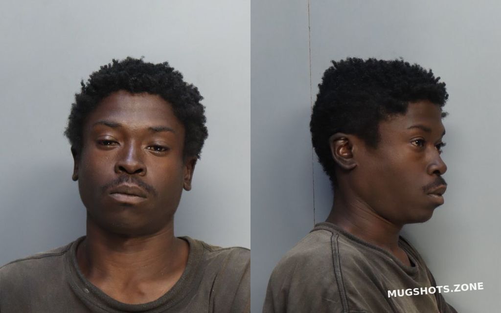 WILLIAMS THURSTON BRIAN 06/10/2024 - Miami-Dade County Mugshots Zone