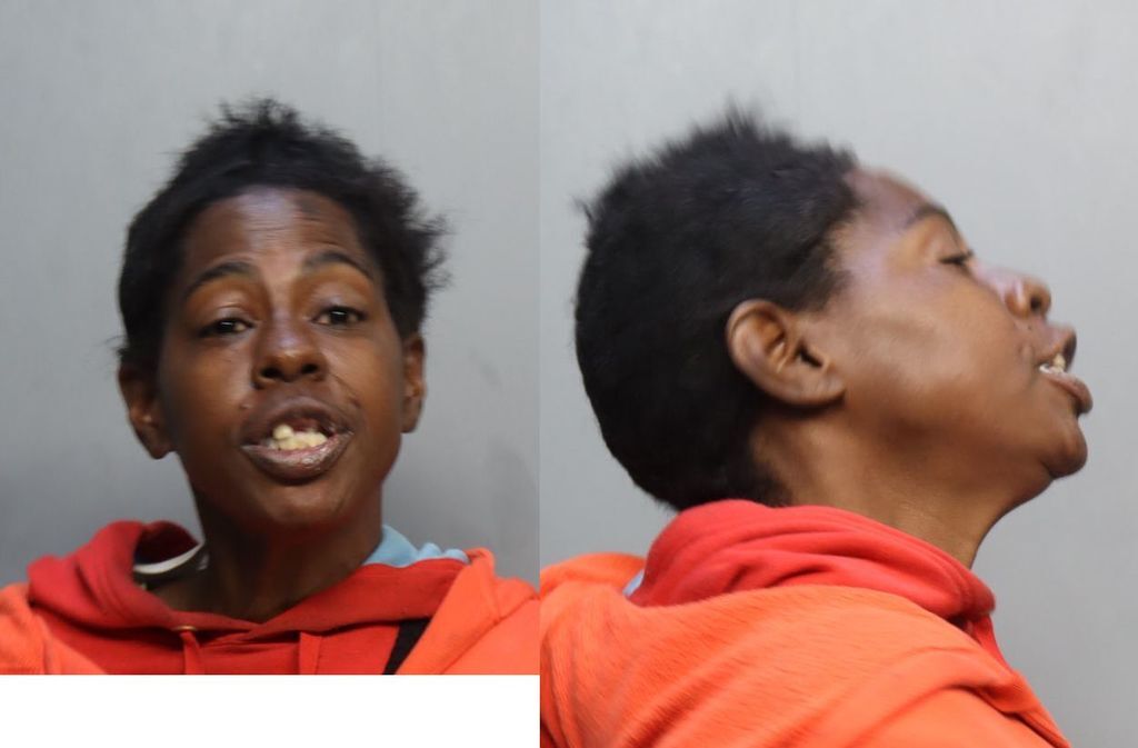 WILLIAMS NEKEISHA LASHAWN 06/16/2024 - Miami-Dade County Mugshots Zone