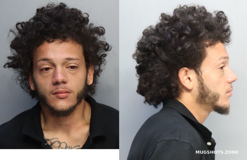 RIOS ALBERT D 06/17/2024 - Miami-Dade County Mugshots Zone