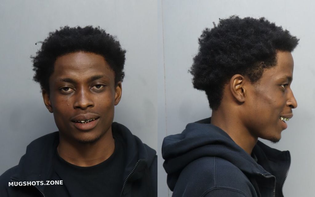 DAVIS REGINALD MAURICE 06/17/2024 - Miami-Dade County Mugshots Zone