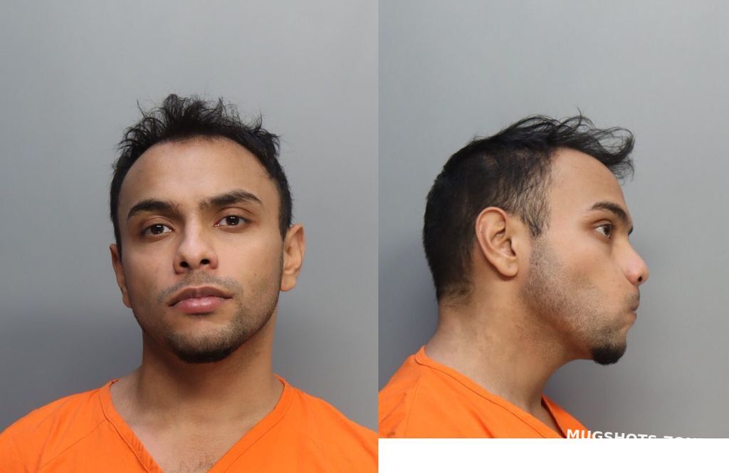 MEGALEY NICHOLAS 06/19/2024 - Miami-Dade County Mugshots Zone