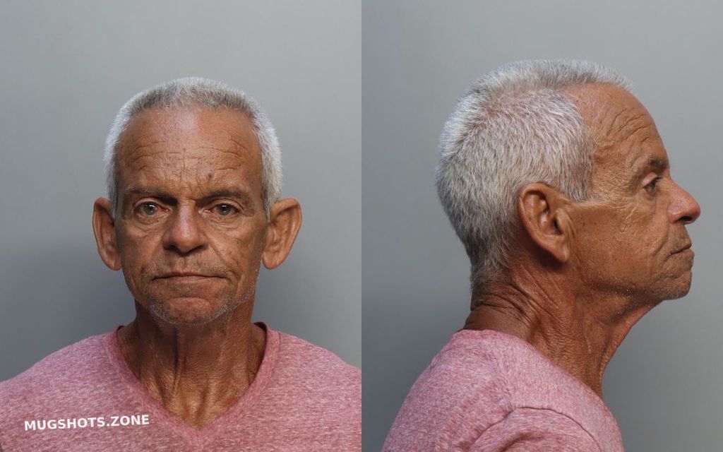 FERNANDEZ LUIS A 06/19/2024 - Miami-Dade County Mugshots Zone