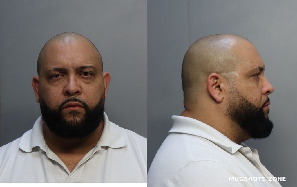 LEWKOWICZ DAVID HENRY 06/19/2024 - Miami-Dade County Mugshots Zone