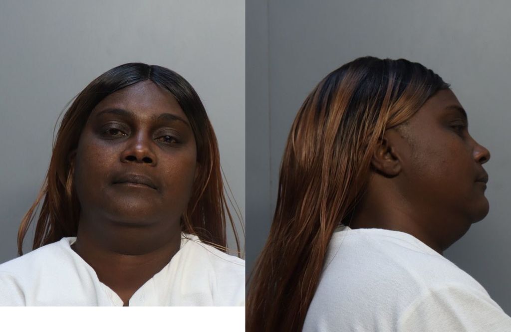 KNOX STEPHANIE ANN 06/24/2024 - Miami-Dade County Mugshots Zone