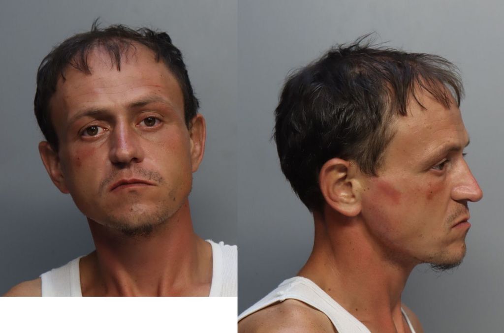 PODOLSKIY VALERIY K 06/24/2024 - Miami-Dade County Mugshots Zone