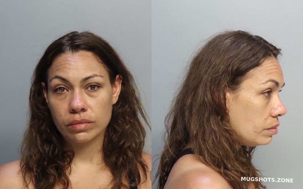 SANCHEZ SUYIN 06/25/2024 - Miami-Dade County Mugshots Zone