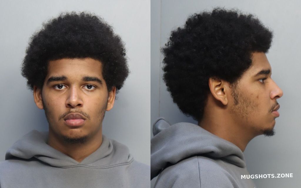 GRAY RAJIV 06/27/2024 - Miami-Dade County Mugshots Zone