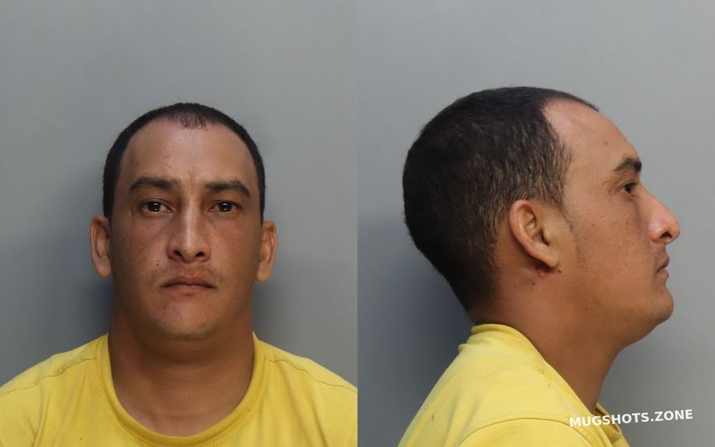 MIRANDASANTAELLA OSMANY 06/28/2024 - Miami-Dade County Mugshots Zone