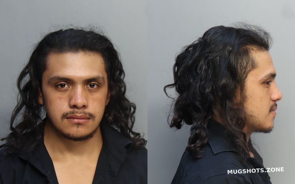 LOPEZDELEON REYNO 06/28/2024 - Miami-Dade County Mugshots Zone