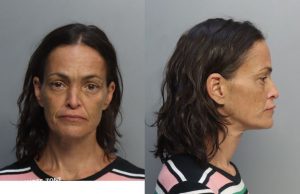 WILSON SHELLIE MARIE 07/08/2024 - Miami-Dade County Mugshots Zone