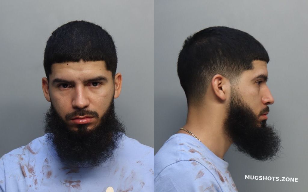 FRANCO ACEL ALEXANDRE 07/19/2024 - Miami-Dade County Mugshots Zone